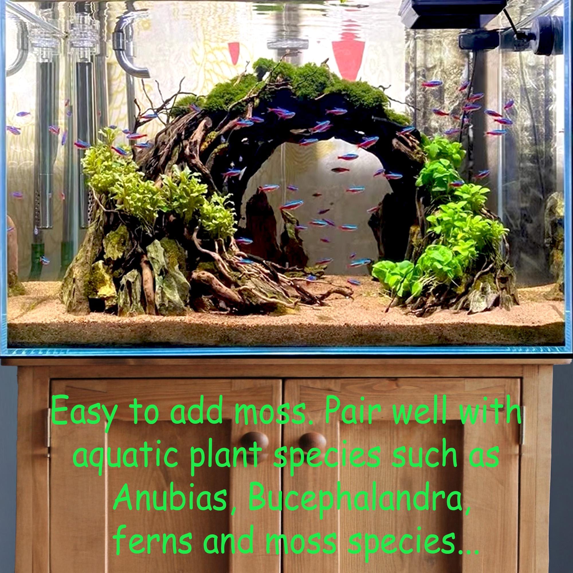 Aquarium Driftwood Centerpiece Hideout Cave Aquascape Hardscape ...