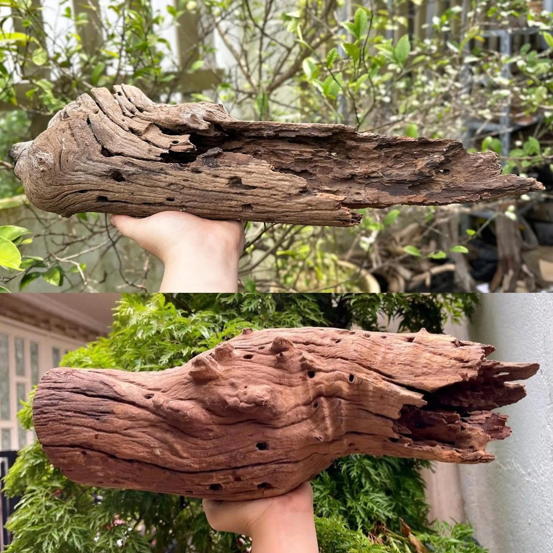 Aquarium Driftwood Log, Natural Wood Fish Tank Decor - Etsy