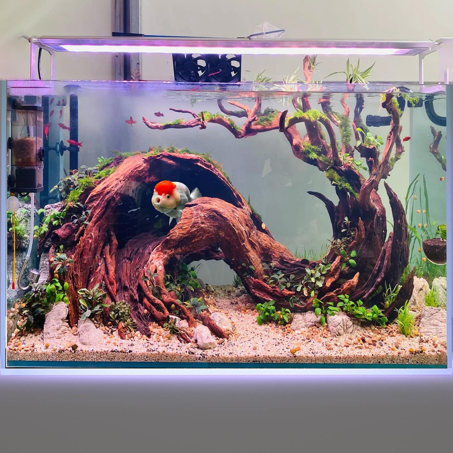 Bonsai Driftwood Aquarium Aquascaping Decor Drift Wood Aquatic Plants ...