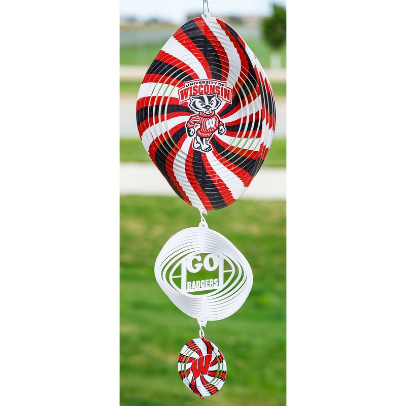 Wisconsin Badger - Etsy