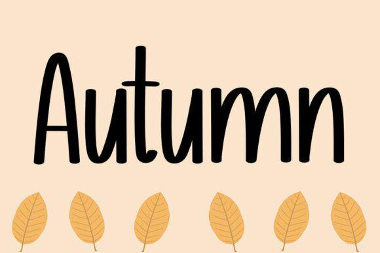 Daisy Brush Font: Cursive Handwriting Style (goodnotes, Procreate) - Etsy