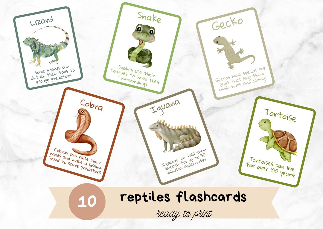Reptile Educational Flashcards With Fun Facts – Printable Montessori ...