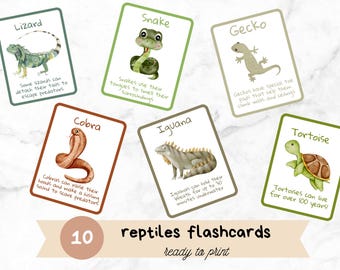 Bird Educational Flashcards With Fun Facts – Printable Montessori ...