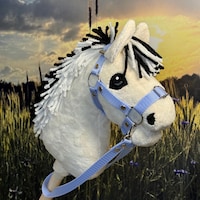 DIY Hobby Horse Base Kit: Personalized Toy Horse Craft (PDF ...
