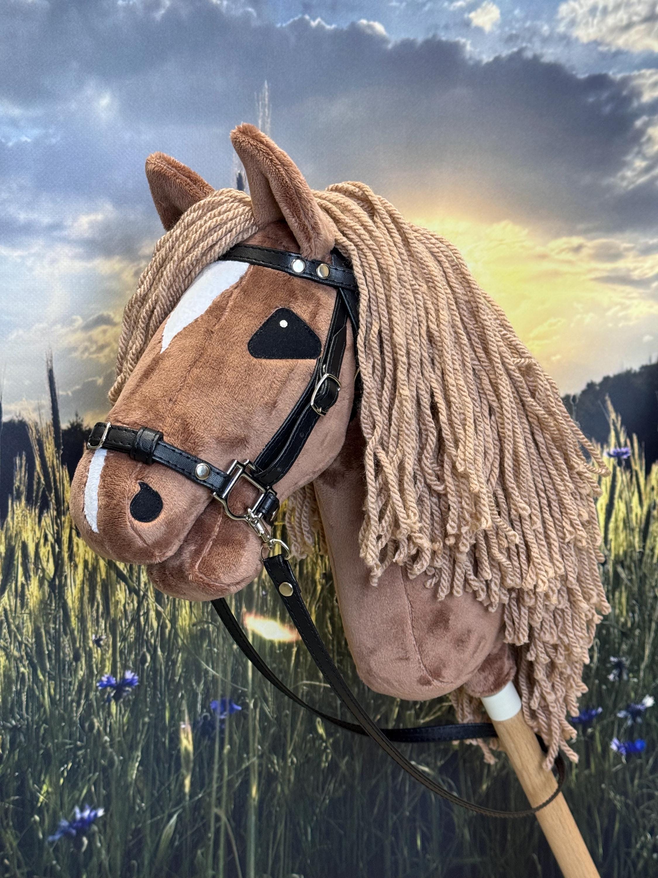Hobby horse alezan avec une longue crinière. A4 ou A3 - Etsy France