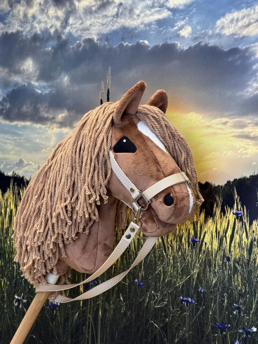 Hobby Horse Chestnut With Long Mane. A4 or A3 - Etsy