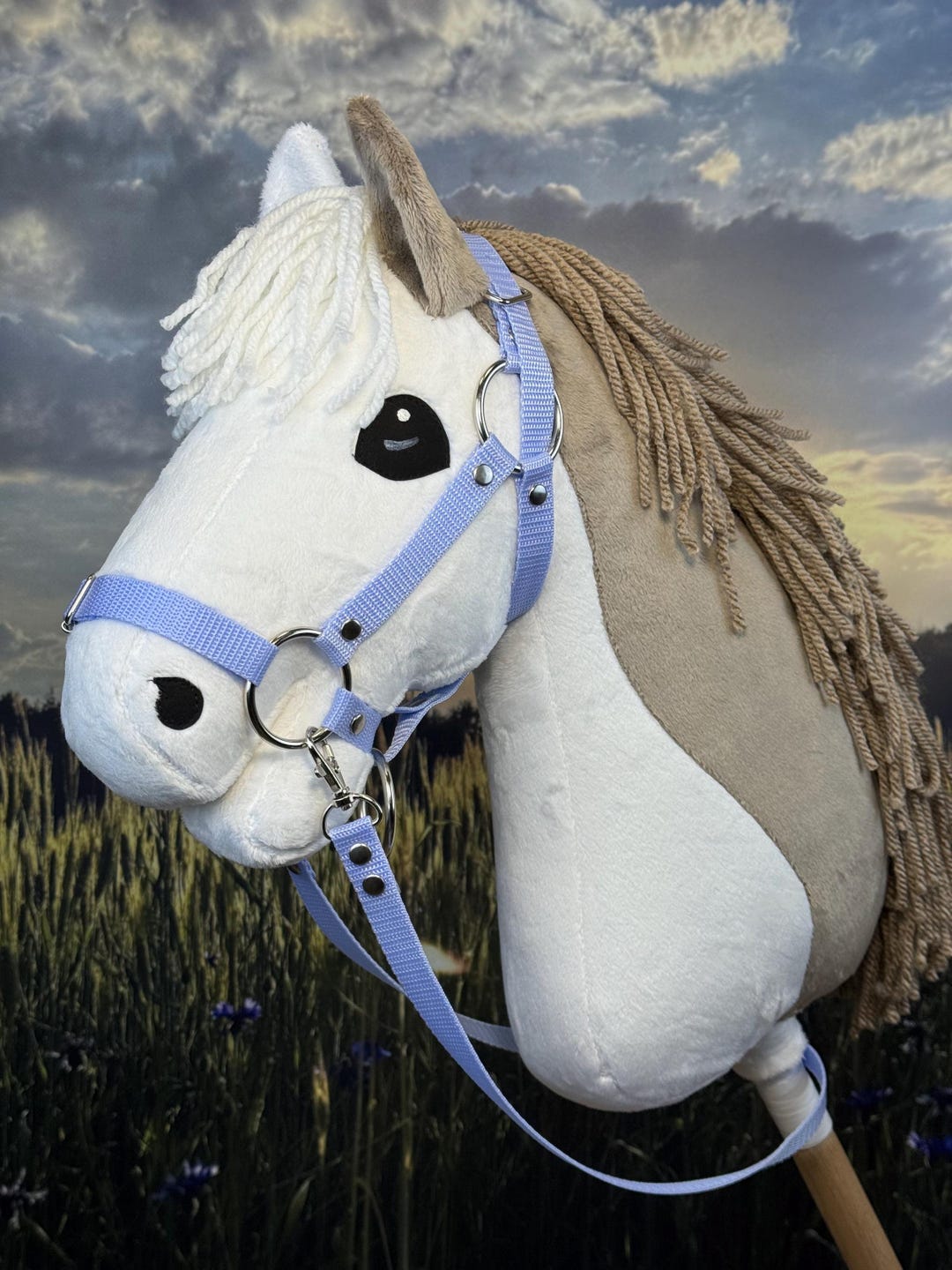 Hobby Horse Pinto Gray and White. A4 or A3 Size. - Etsy Canada