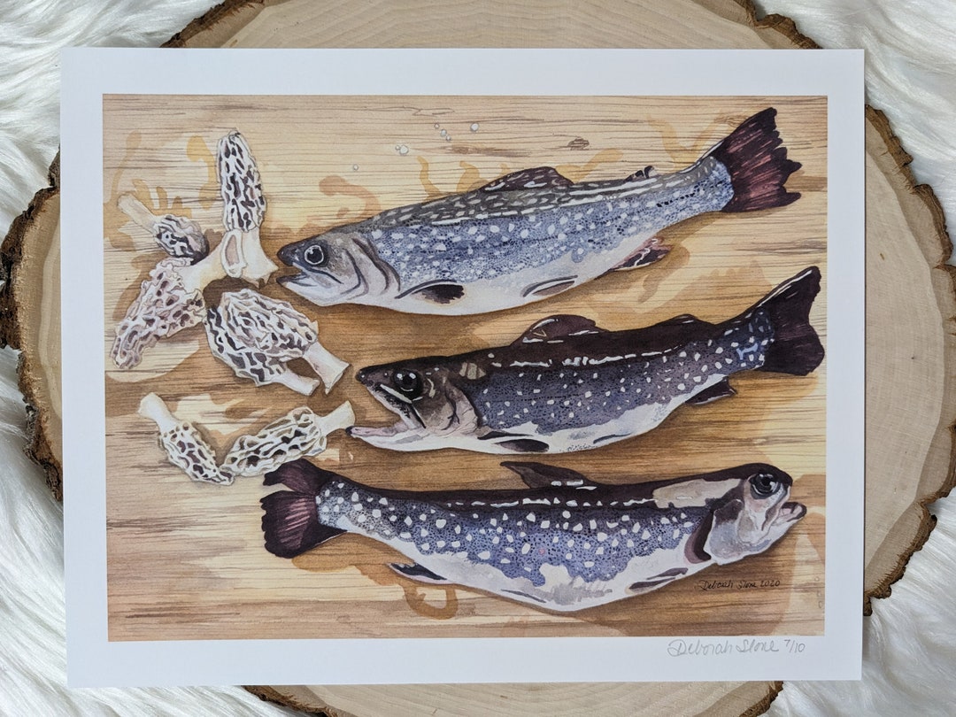 Morels Mushrooms Dry Land Fish and Trout Fish Archival Print Botanical ...