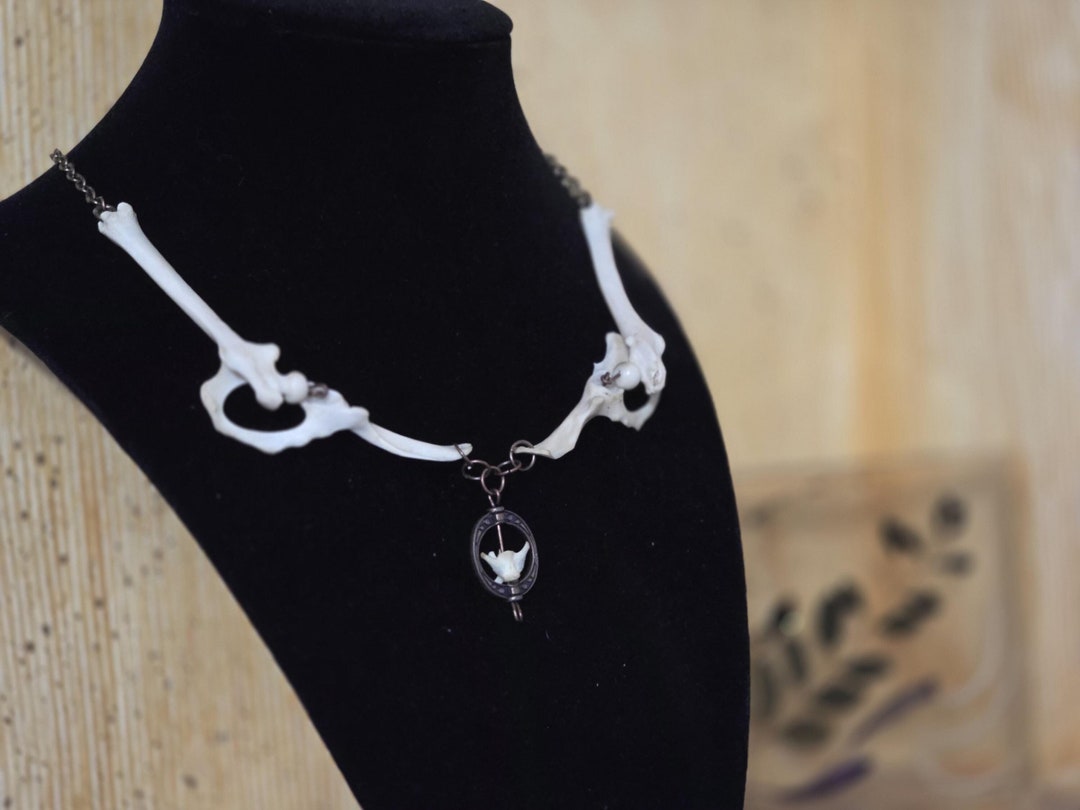 Squirrel Pelvis and Femur Anatomy Necklace - Etsy