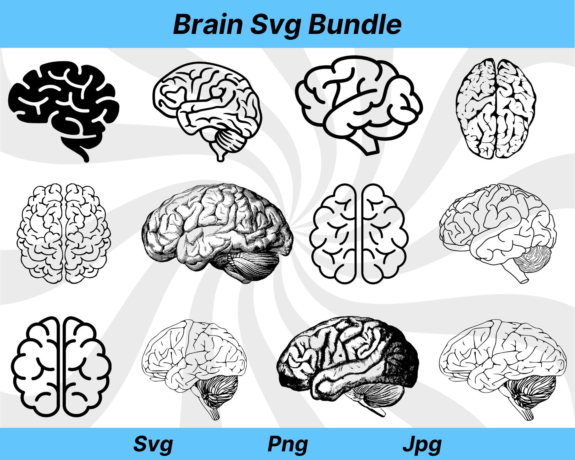 Brain Svg Bundle, Brain Clipart, Human Brain Svg, Brain Cut File, Brain ...