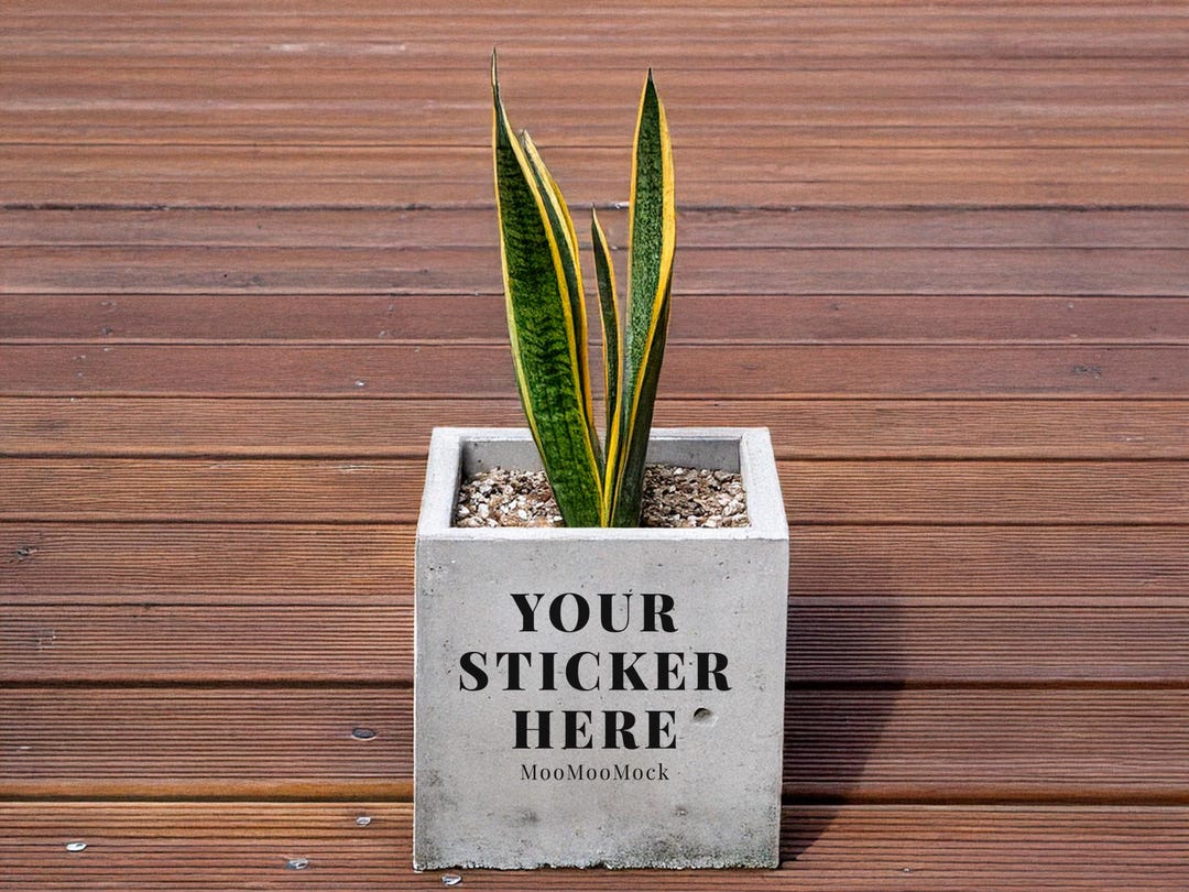 Plant Pot Sticker Mockup - Canva Drag and Drop (digital Download, PNG ...
