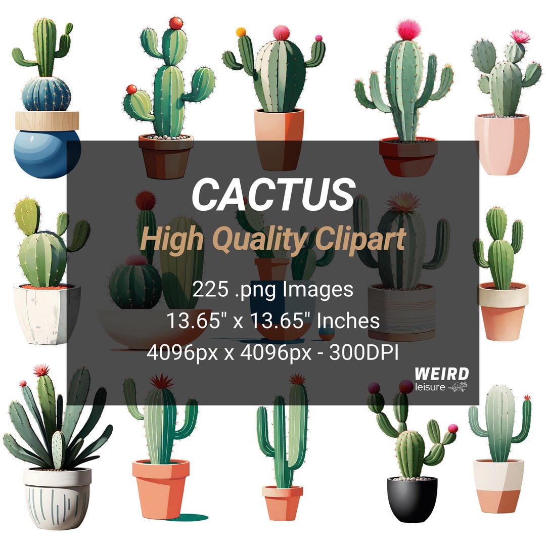 225 Cactus Clipart, High Quality Transparent PNG, Instant Download ...