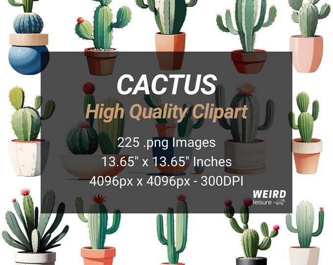 10 Cactus Clipart Bundle, PNG & JPG, Printable Patchwork Cacti ...