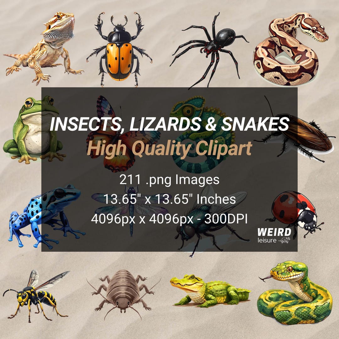 211 Insects, Lizards & Snakes Clipart, High Quality Transparent PNG ...