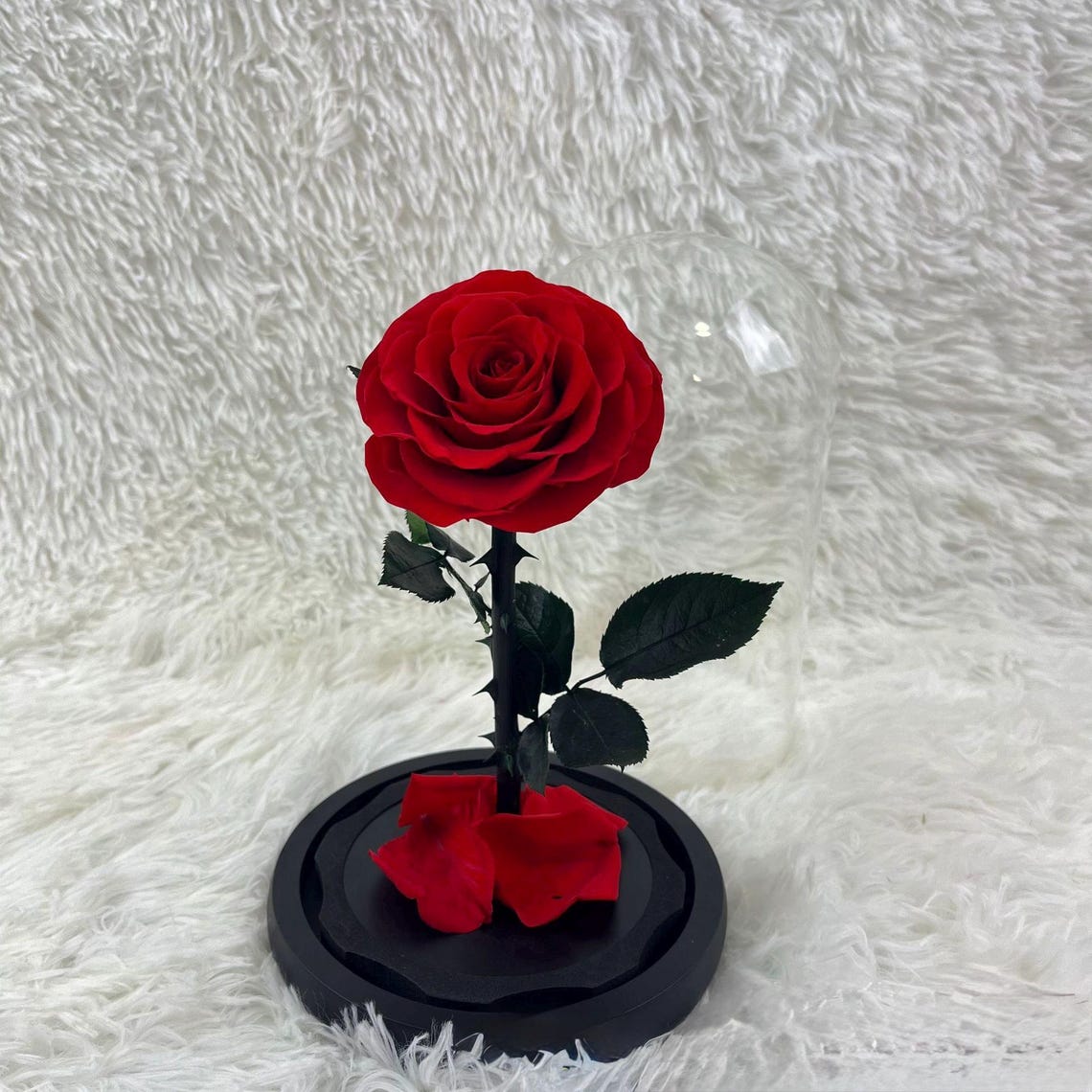 Everlasting Preserved Rose Glass Dome (red) With Ambient Lighting - Etsy
