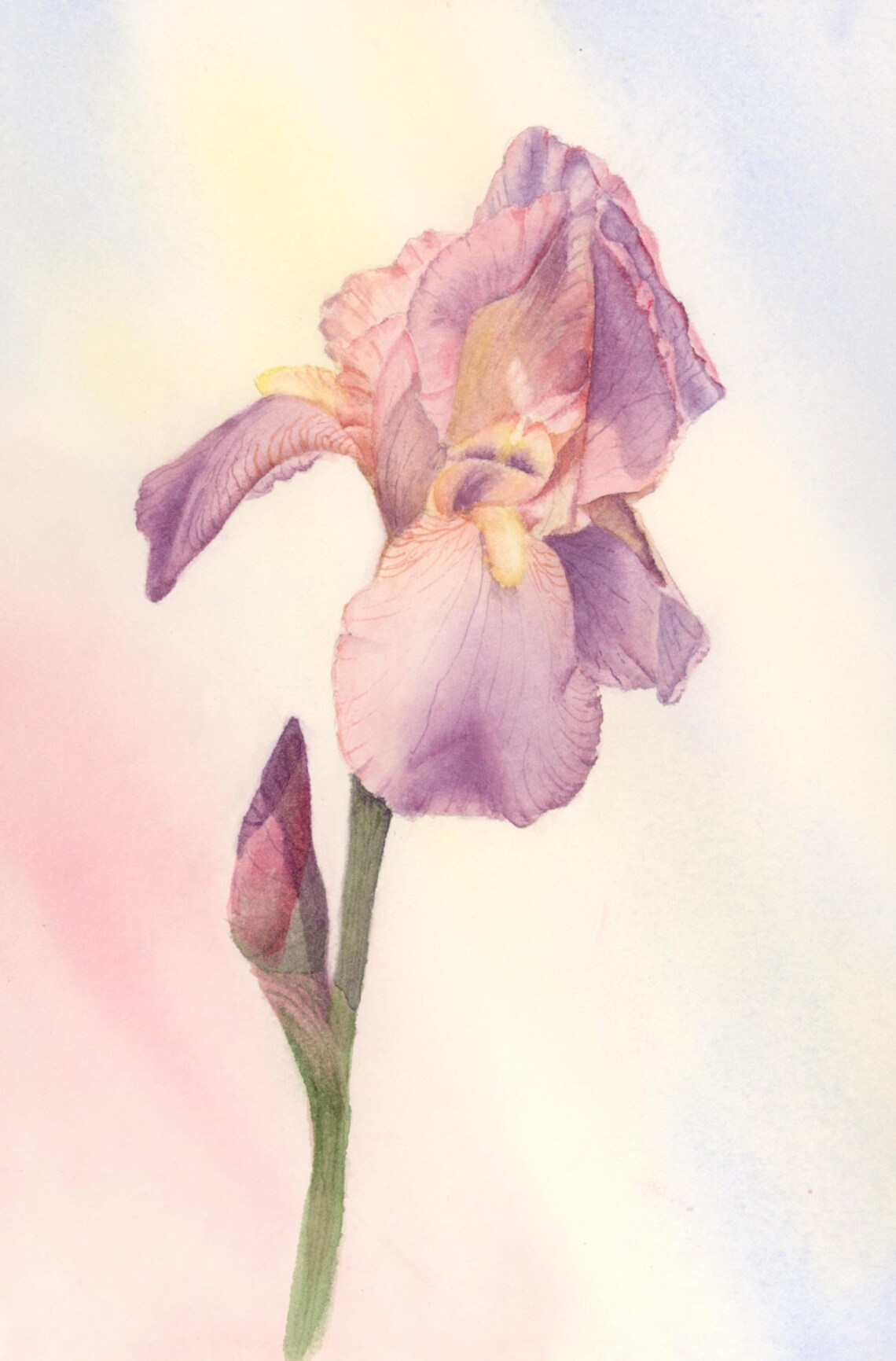 Tutorial Painting of "iris Bloom" How to Paint an Iris in Watercolor ...