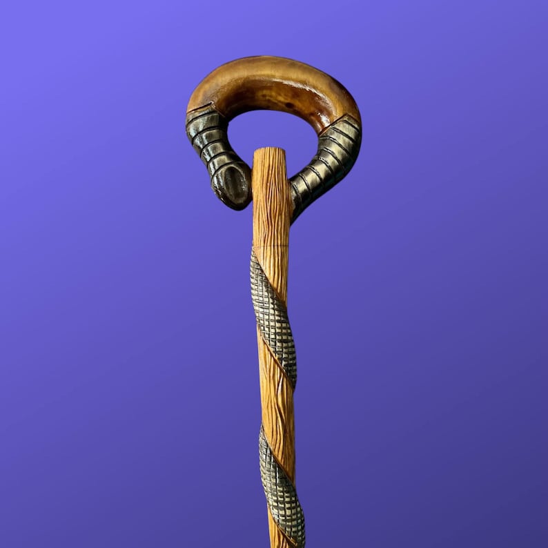 Snake Wooden Walking Stick Wood Carved Fantasy Walking Cane for Men ...