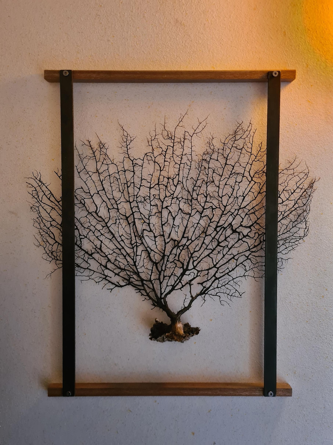 Large Sea Fan - Coral | H 35-45cm - W 35-45cm - Etsy