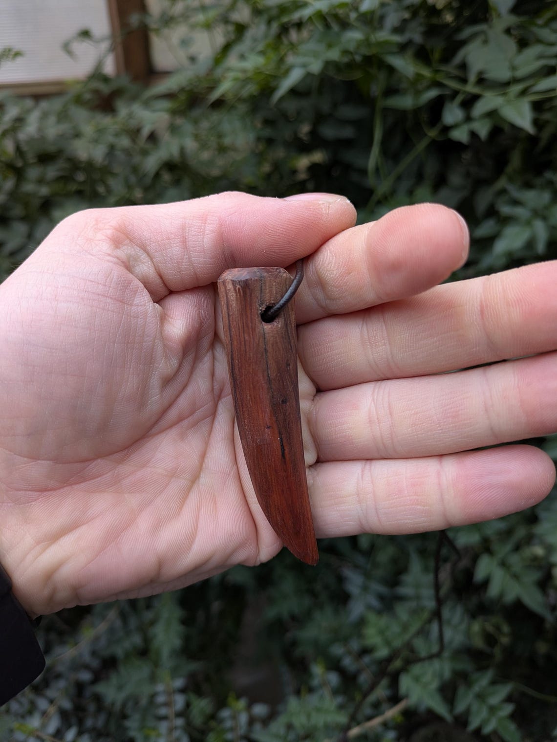 Protective Yew Wood Amulet in the Shape of a Bear Fang – Handcrafted ...