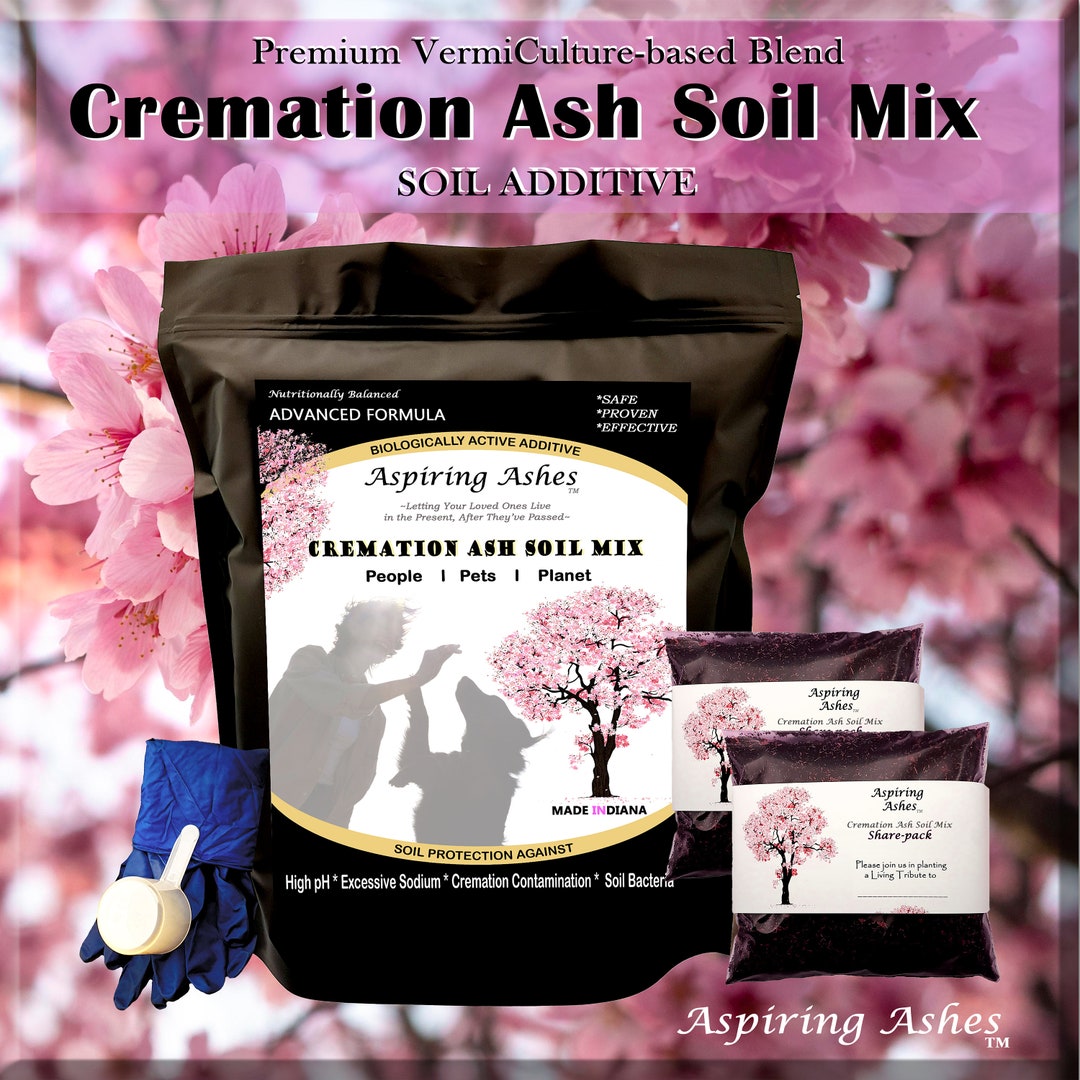 Flowering Bush Hydrangea Azalea Memorial Bush CREMATION ASH SOIL Mix ...