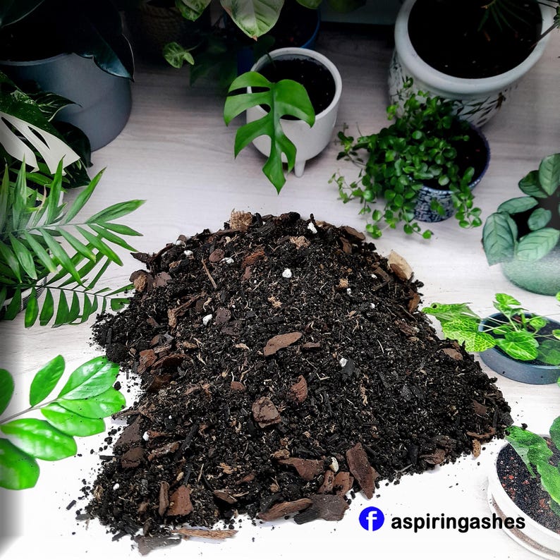 Living Memorial Soil Blend for Cremation Ashes | Human or Pet ...