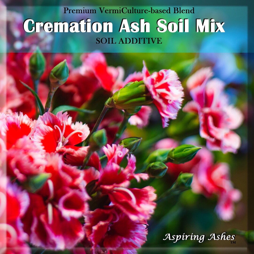 Soil Mix for CREMATED ASHES Potting Soil for Pet Ash Kits Plant Full ...