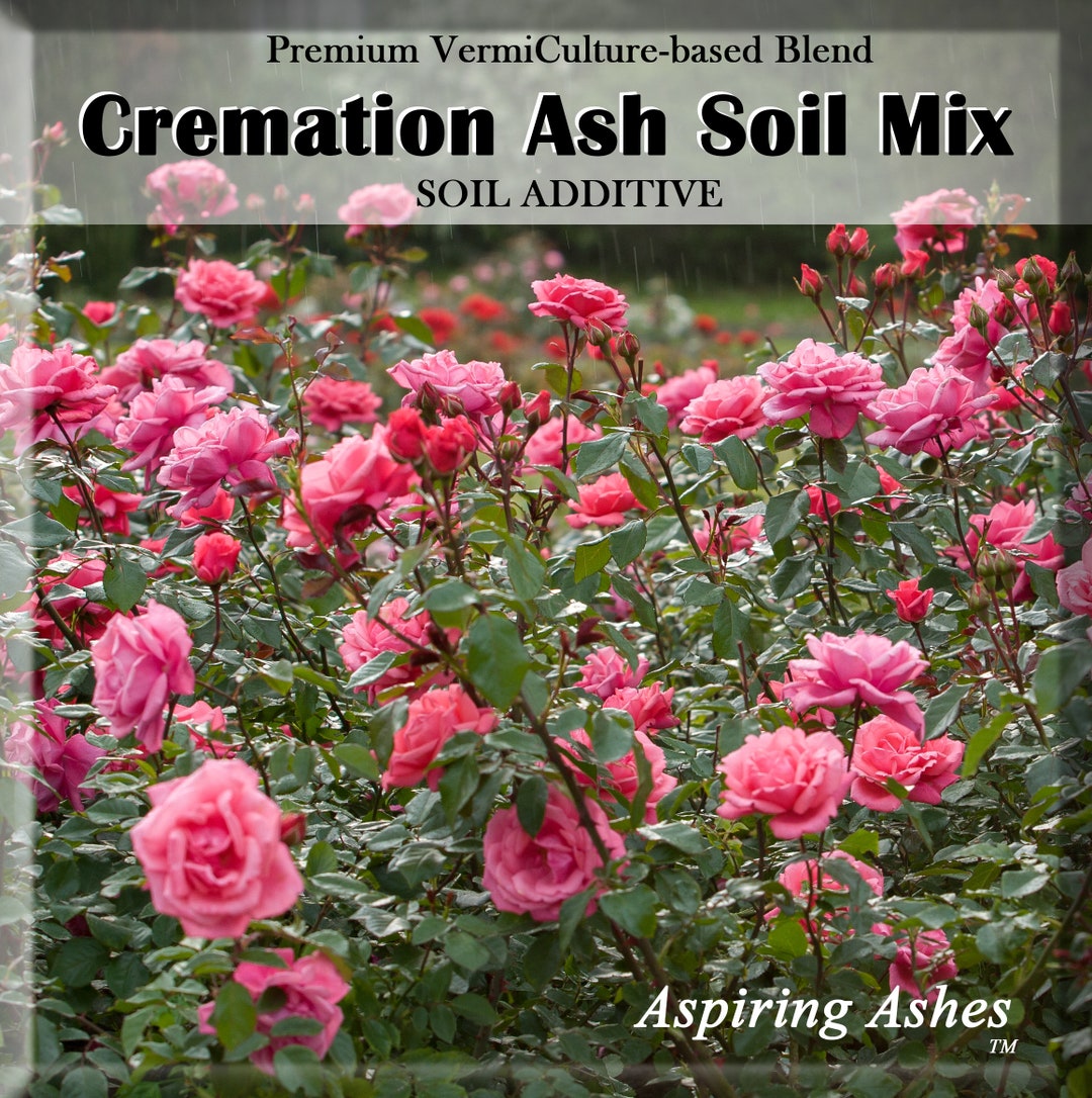 CREMATION ASH SOIL Mix for Soil Cremation Plant Ashes Into Trees ...