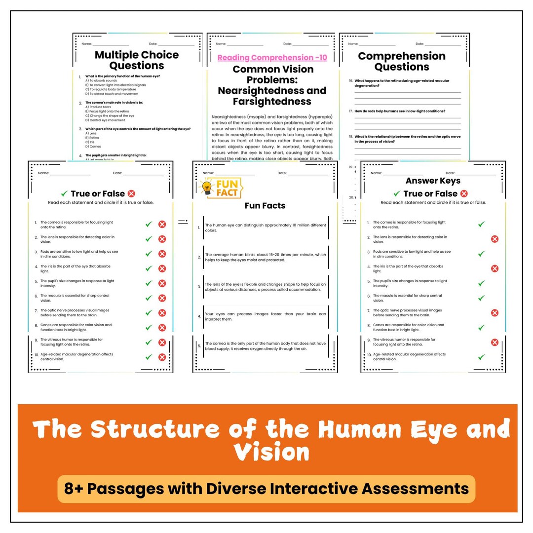 The Structure of the Human Eye and Vision - Comprehensive Science ...