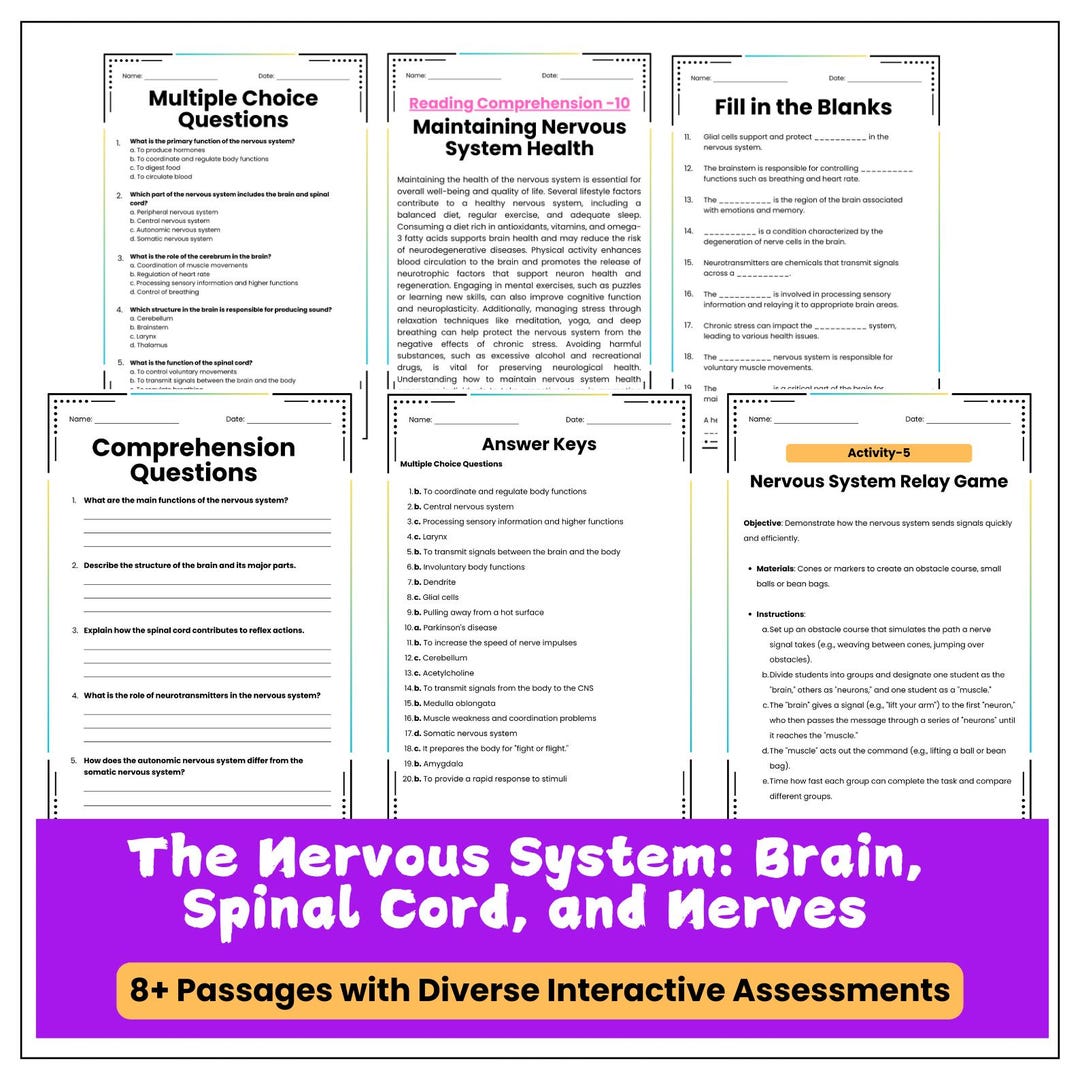 The Nervous System: Brain, Spinal Cord, and Nerves - Science Worksheet ...