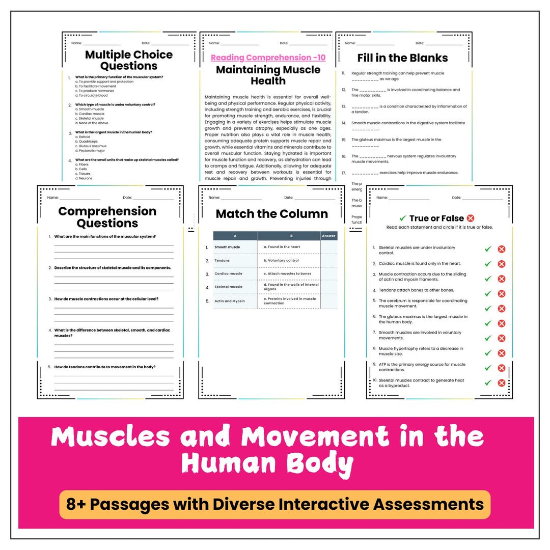 Muscles and Movement in the Human Body - Science Worksheet Pack - Etsy