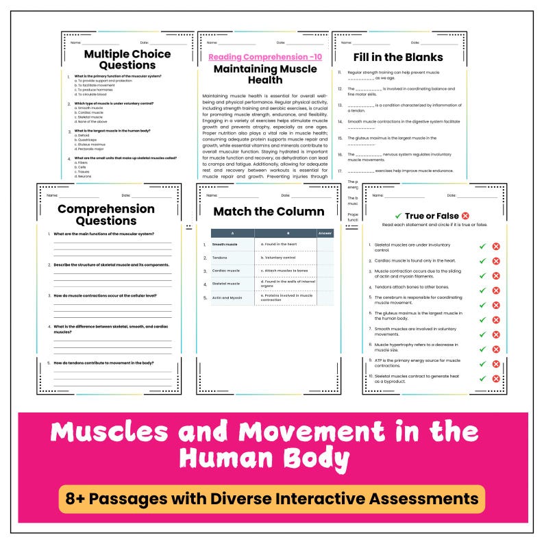 Muscles and Movement in the Human Body - Science Worksheet Pack - Etsy