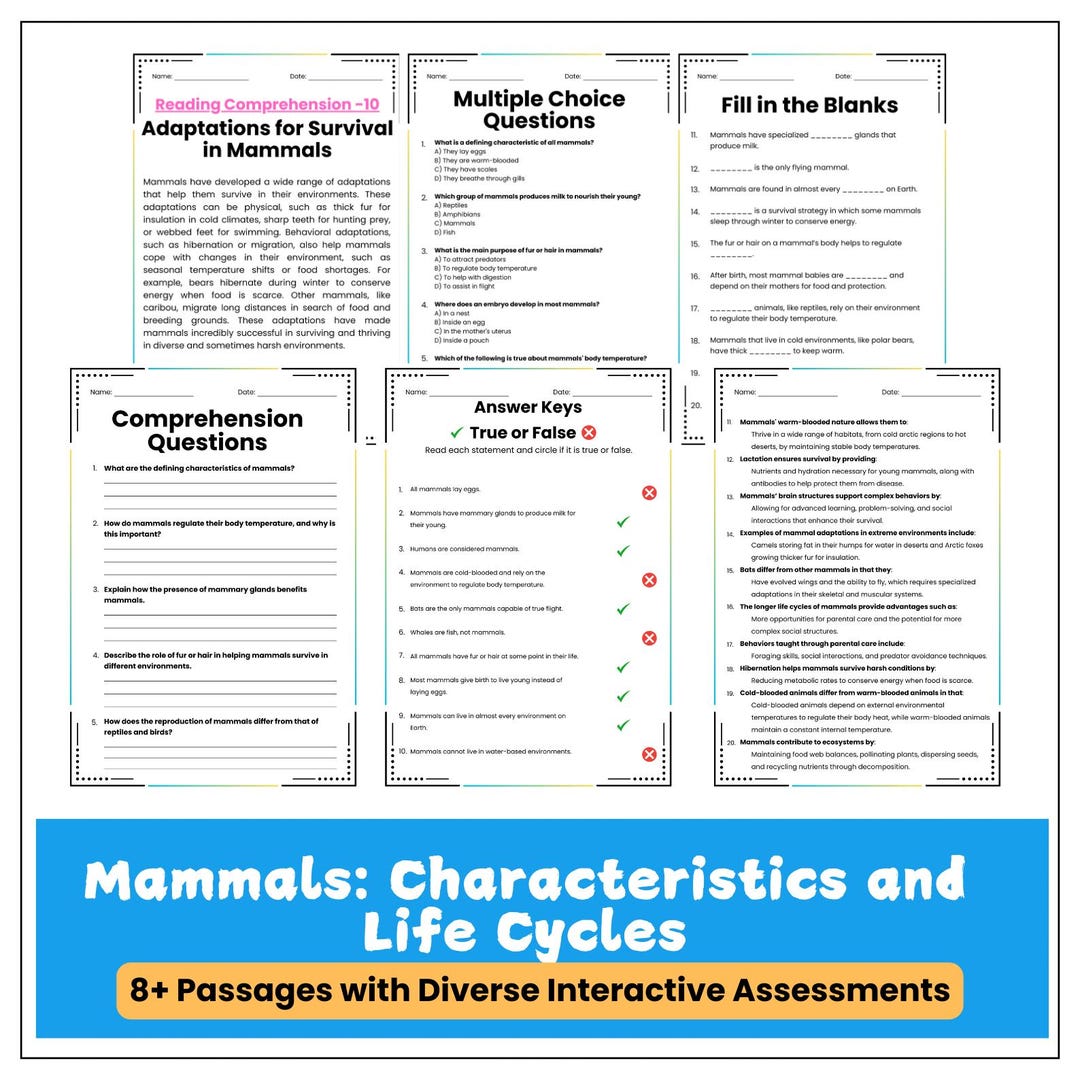 Mammals: Characteristics and Life Cycles - Comprehensive Science ...