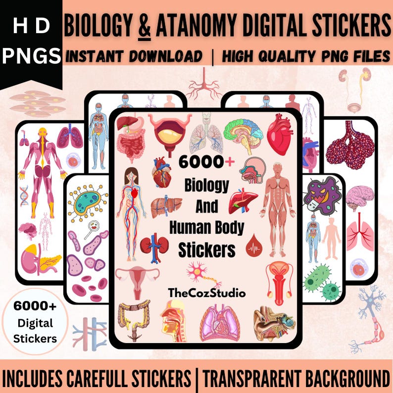 6000+ Biology Anatomy Digital Stickers for Goodnotes, Medical Student ...