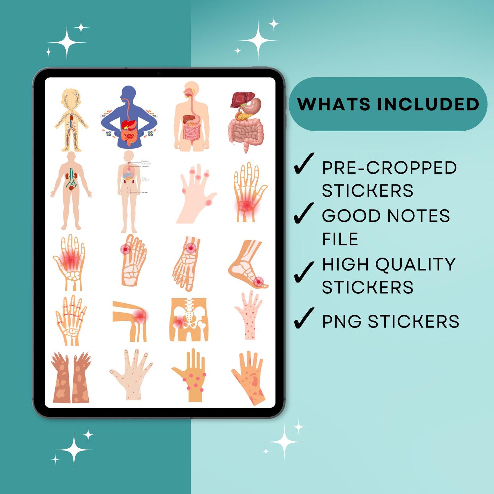 Immune System Stickers for Goodnotes, Pre Cropped Pngs, Human Body ...