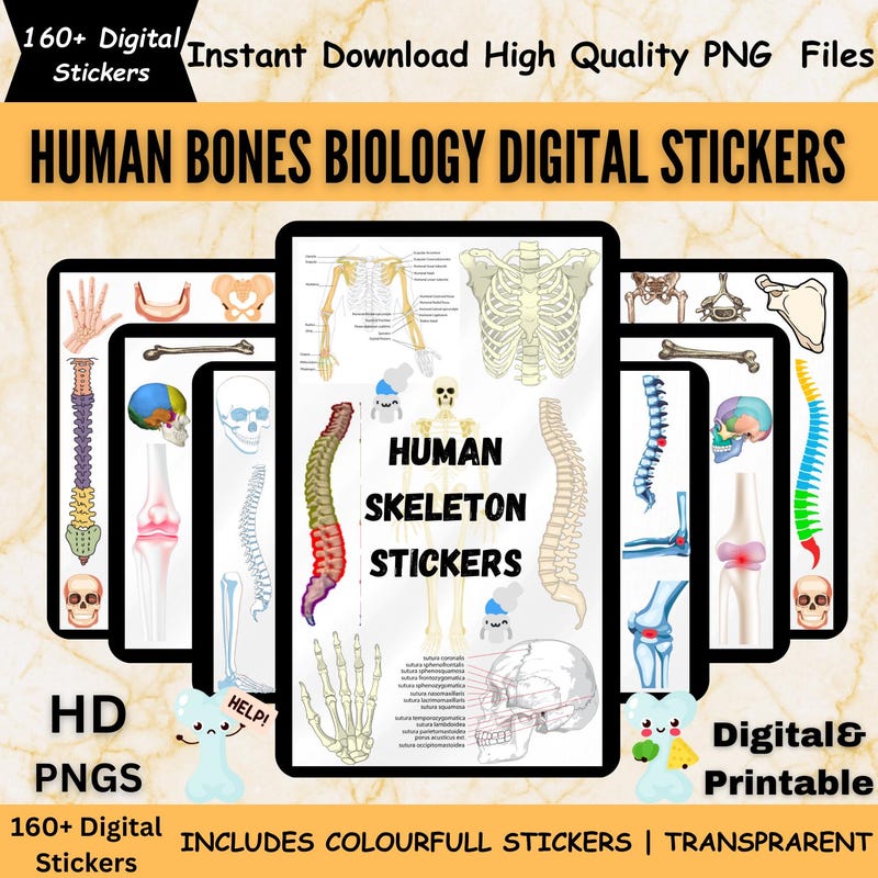 Science Sticker - Etsy