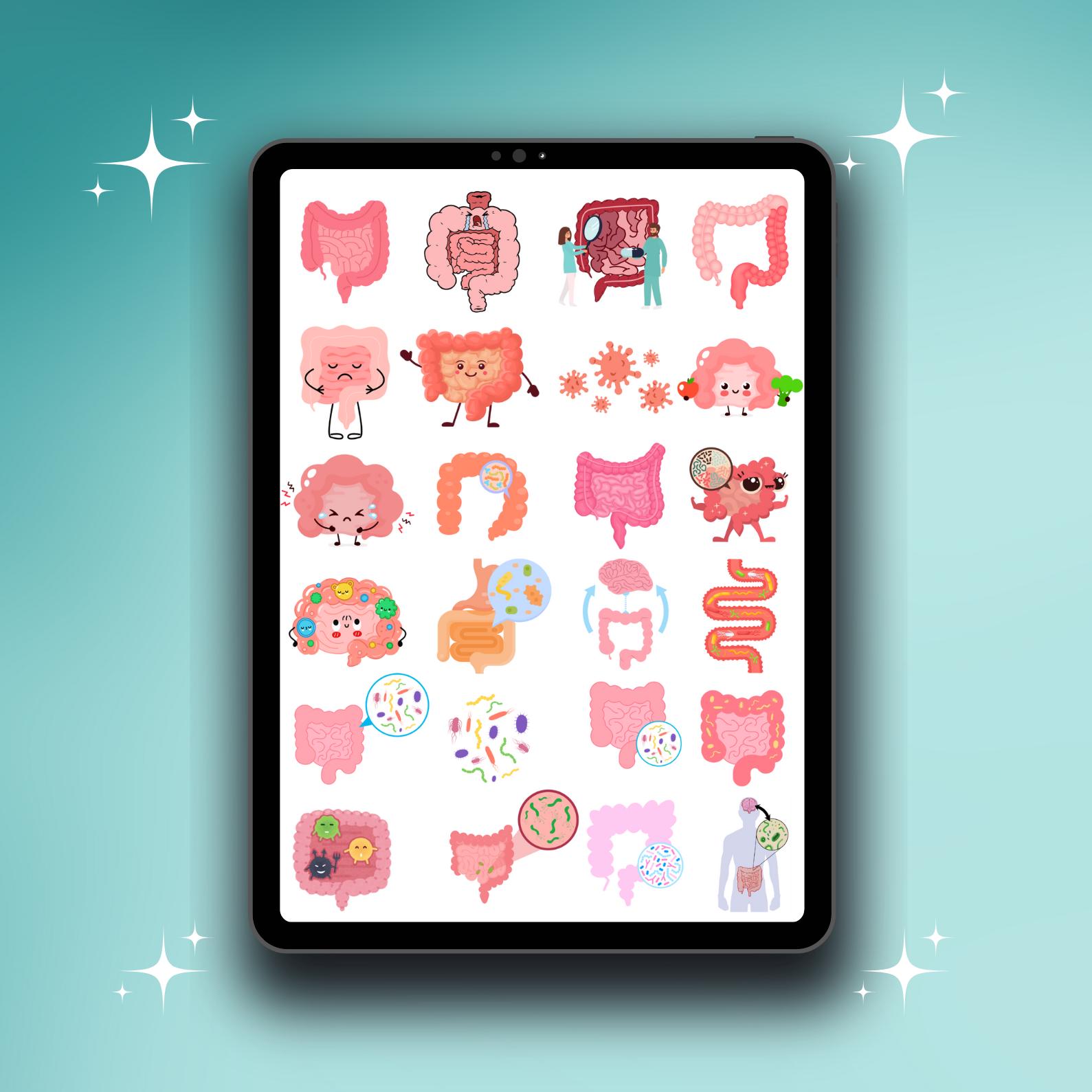 Immune System Stickers for Goodnotes, Pre Cropped Pngs, Human Body ...