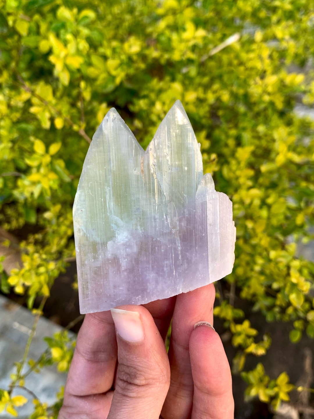 Bi Color Kunzite Crystal, Raw Mineral Specimen (50.70 Gram) - Etsy