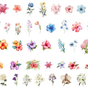 Floral Clipart Bundle: Watercolor Flowers, PNG, SVG (digital Download ...