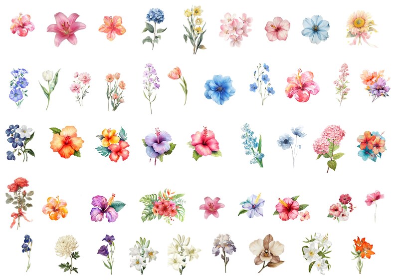 Floral Clipart Bundle: Watercolor Flowers, PNG, SVG (digital Download ...