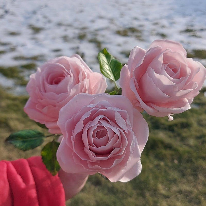 Cold Porcelain Rose - Etsy