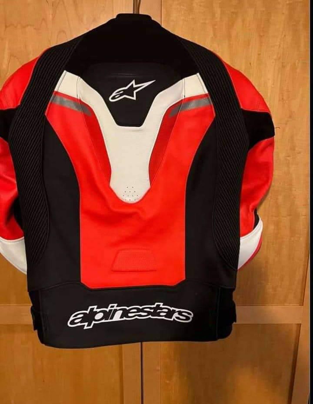 Alpine Star Motorcycle Racing Leather Jacket Real Cowhide Street Biker ...