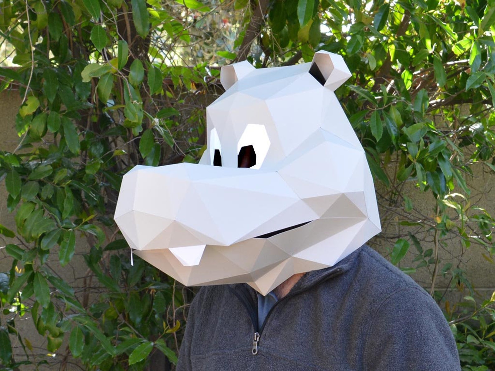 Toon Hippo Mask Papercraft Pattern Cartoon Mask Printable - Etsy
