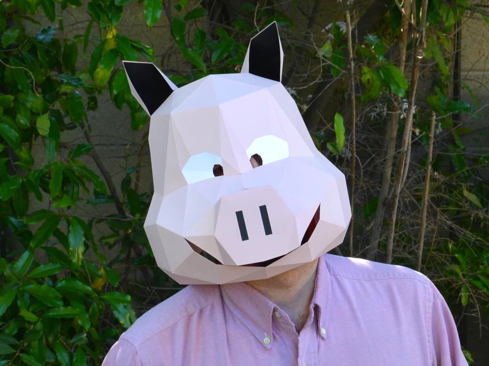 Toon Pig Mask Papercraft Pattern Cartoon Mask Printable - Etsy