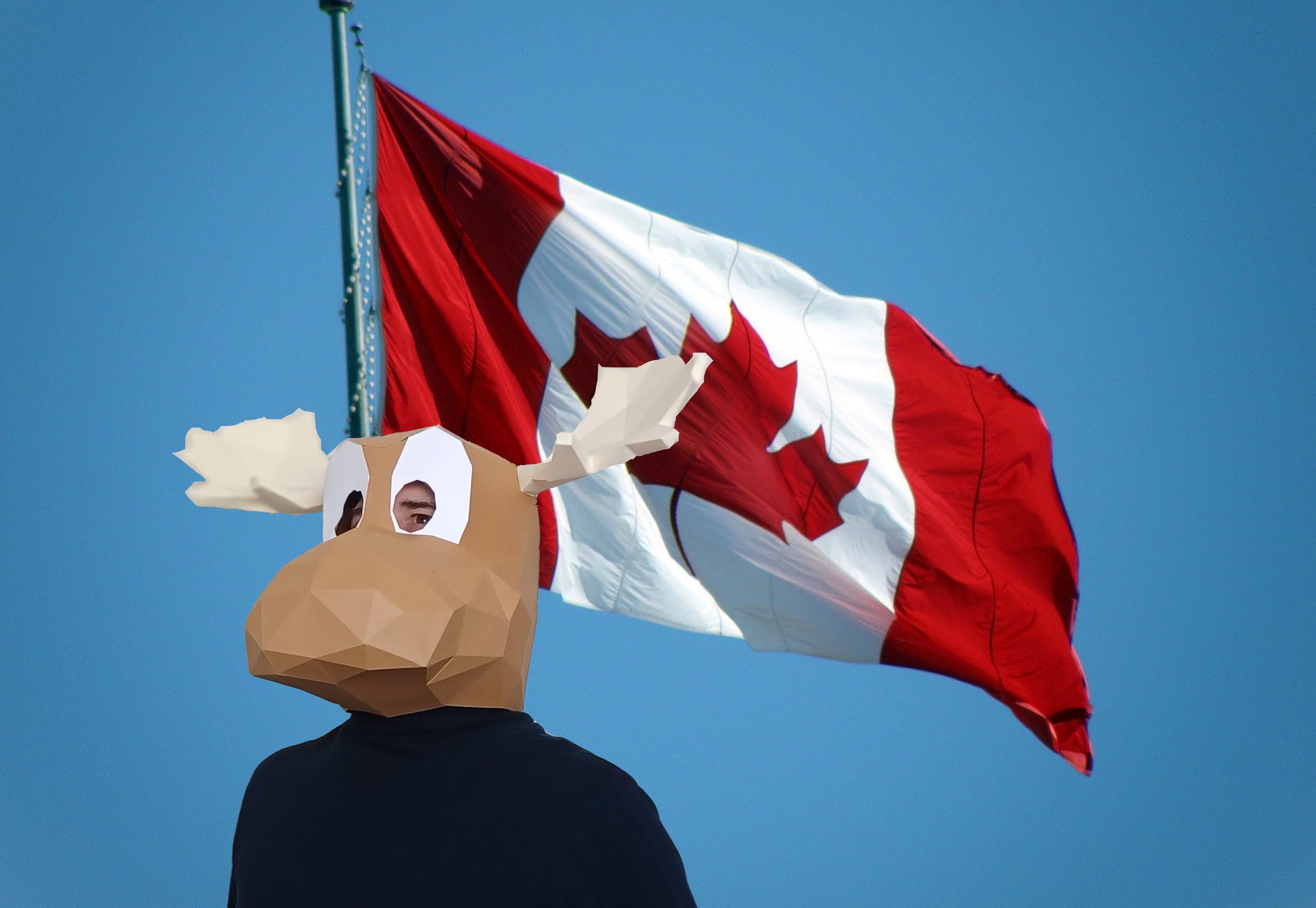 Moose Mask Papercraft Pattern: DIY Costume (PDF Template) - Etsy
