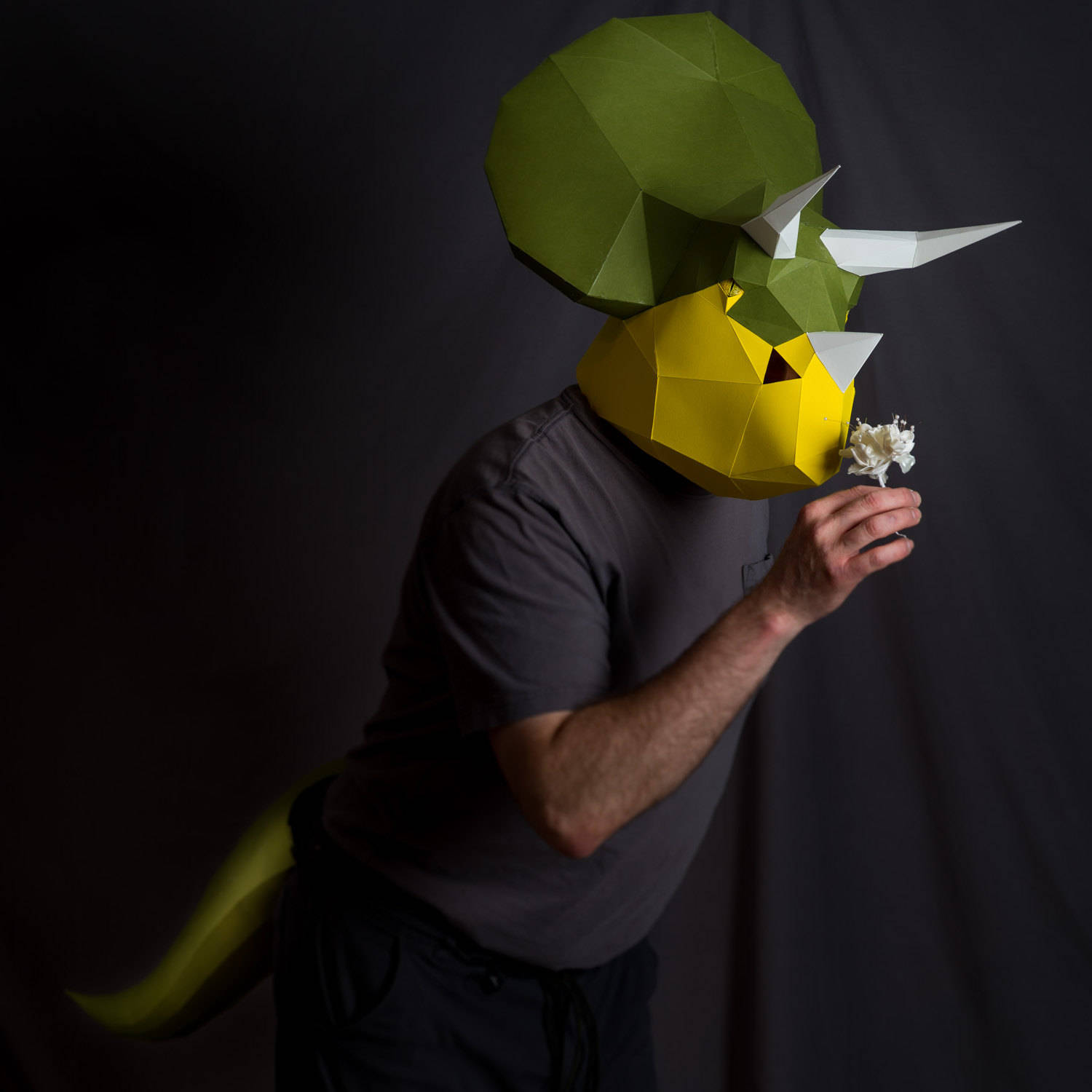 Dinosaur Mask Triceratops Great Dinosaur Birthday Fun | Etsy