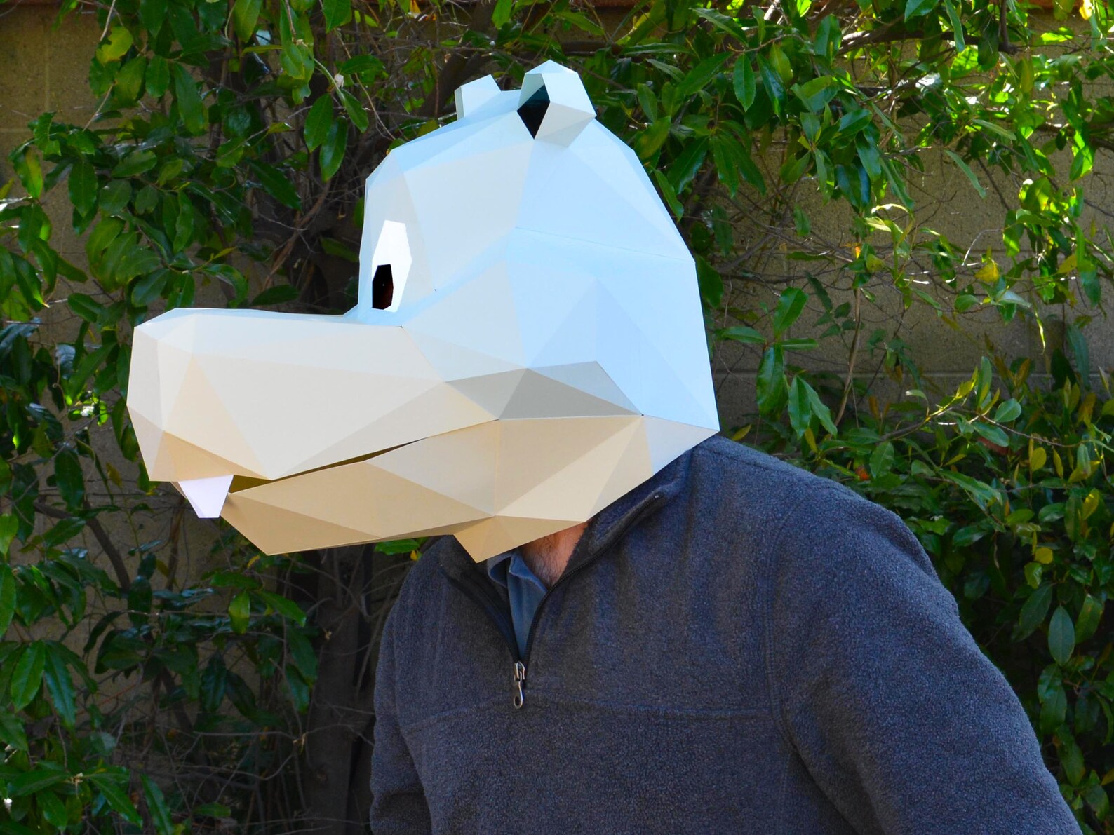 Toon Hippo Mask Papercraft Pattern Cartoon Mask Printable - Etsy