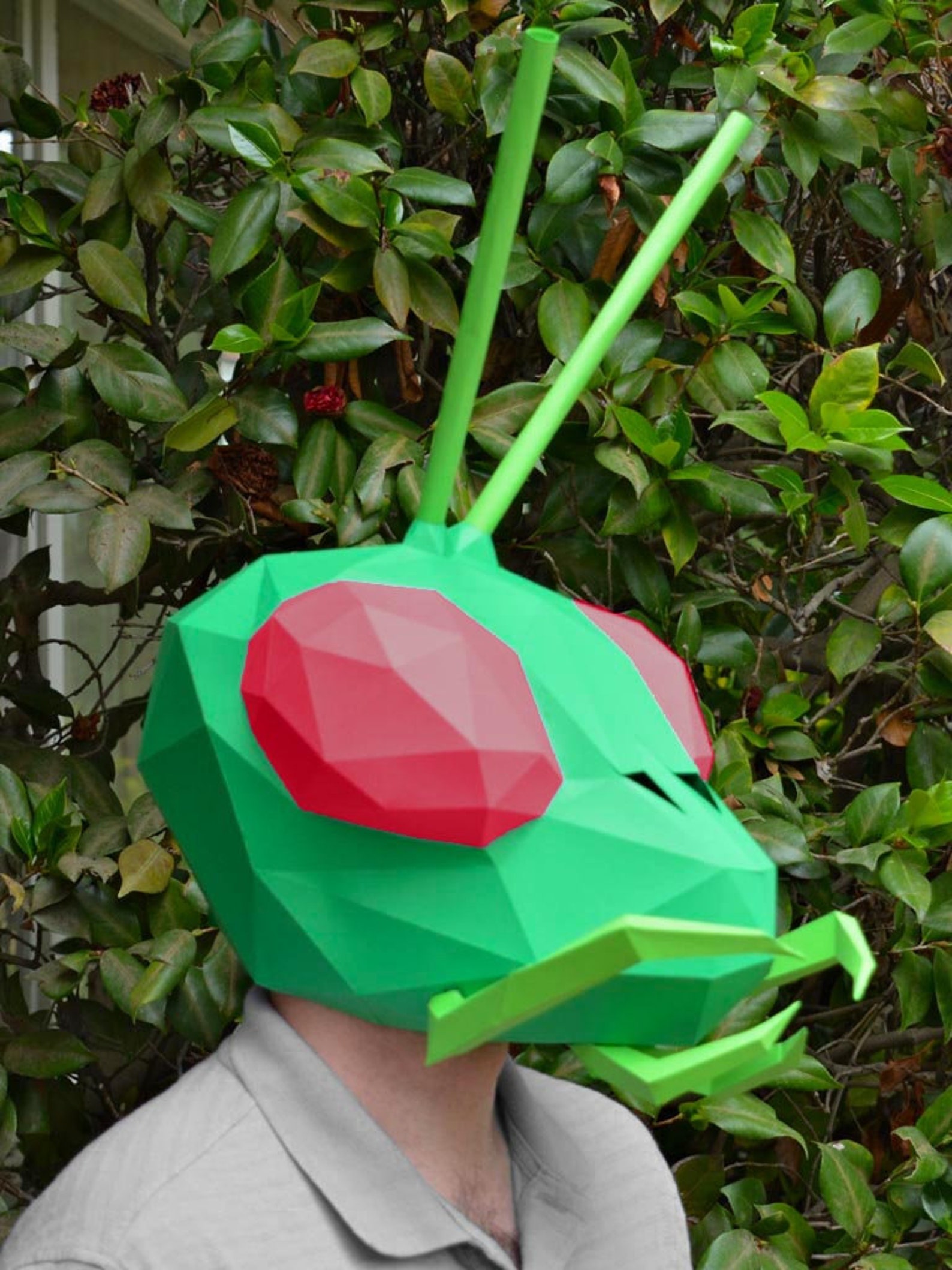 Praying Mantis Mask Paper Pattern Insect Mask Halloween Mask - Etsy