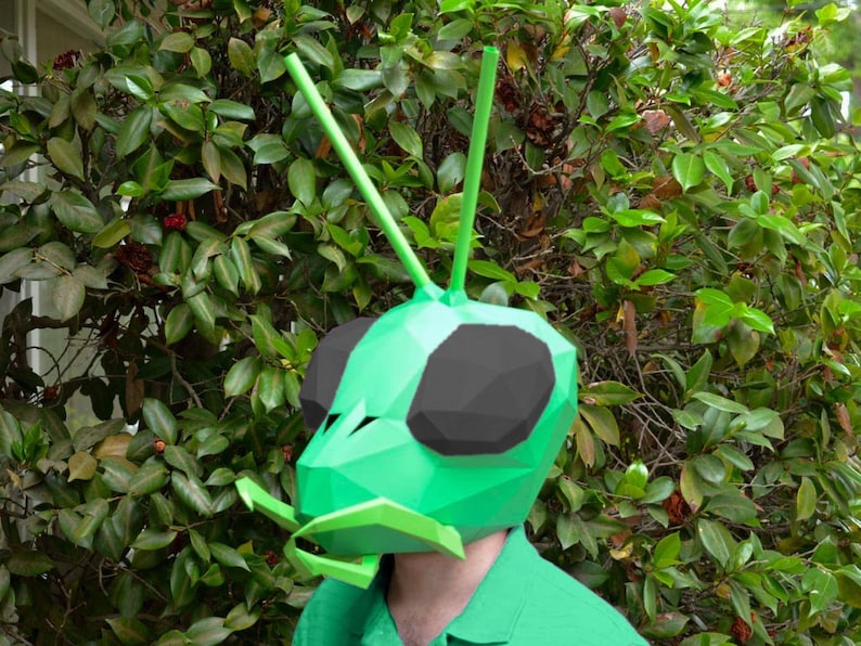 Praying Mantis Mask Paper Pattern Insect Mask Halloween Mask - Etsy Norway