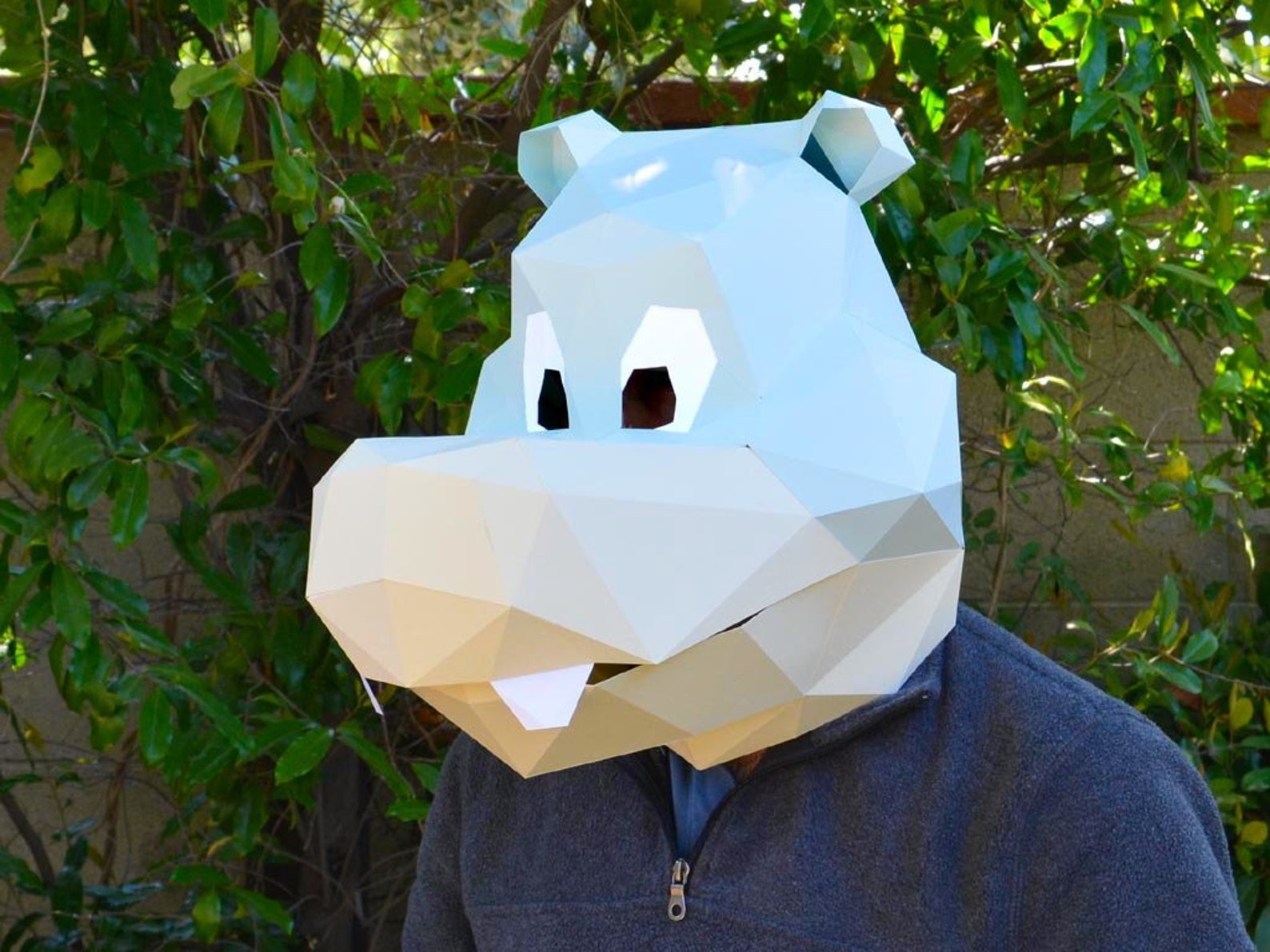 Toon Hippo Mask Papercraft Pattern Cartoon Mask Printable - Etsy