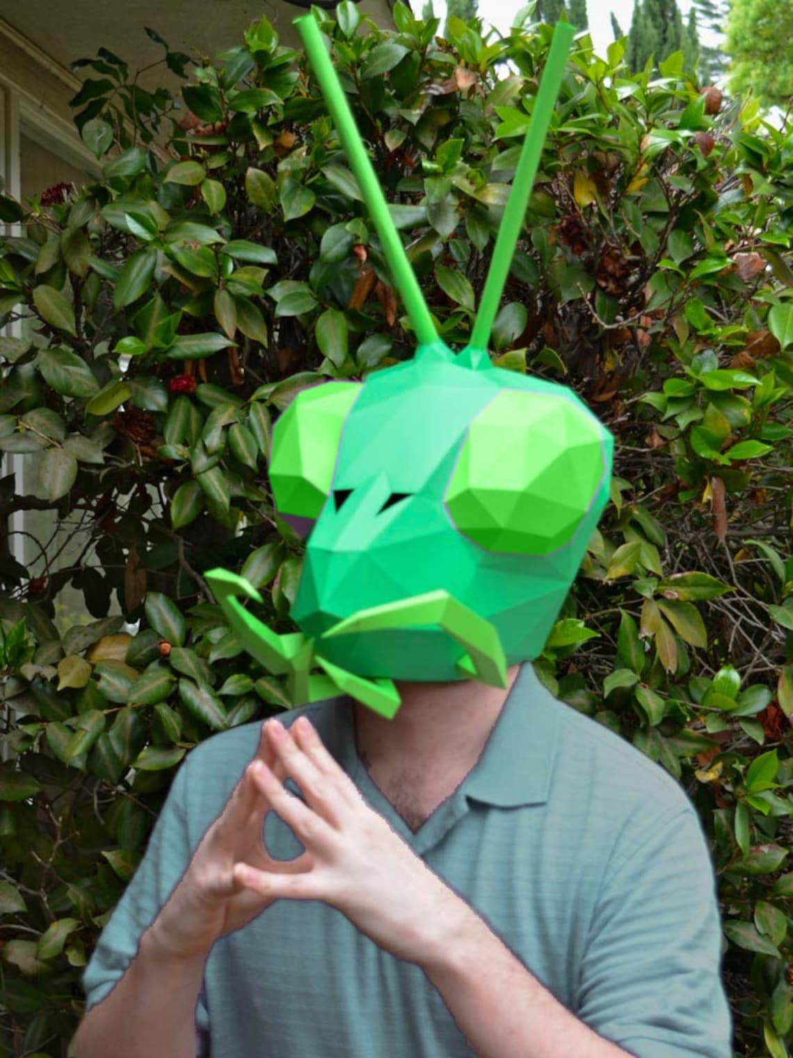 Praying Mantis Mask Paper Pattern Insect Mask Halloween Mask | Etsy